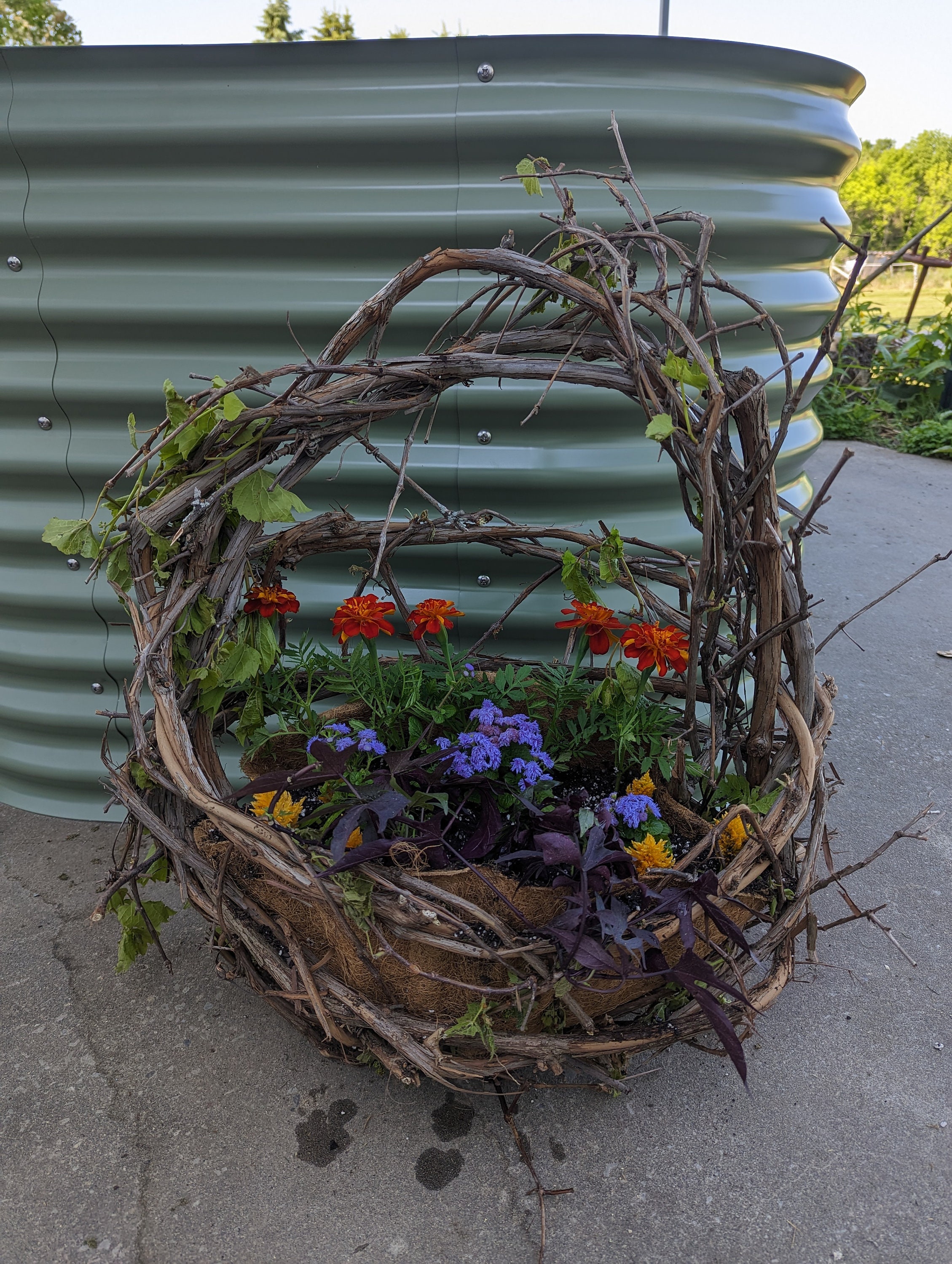 Woven Grapevine Basket - Etsy