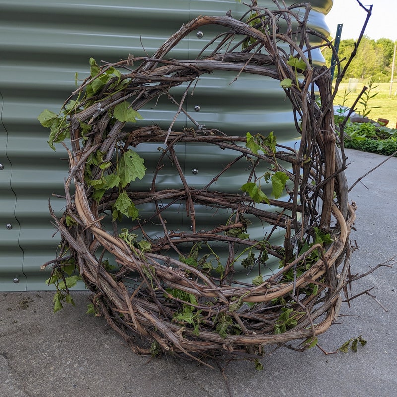 Grapevine Planter - Etsy