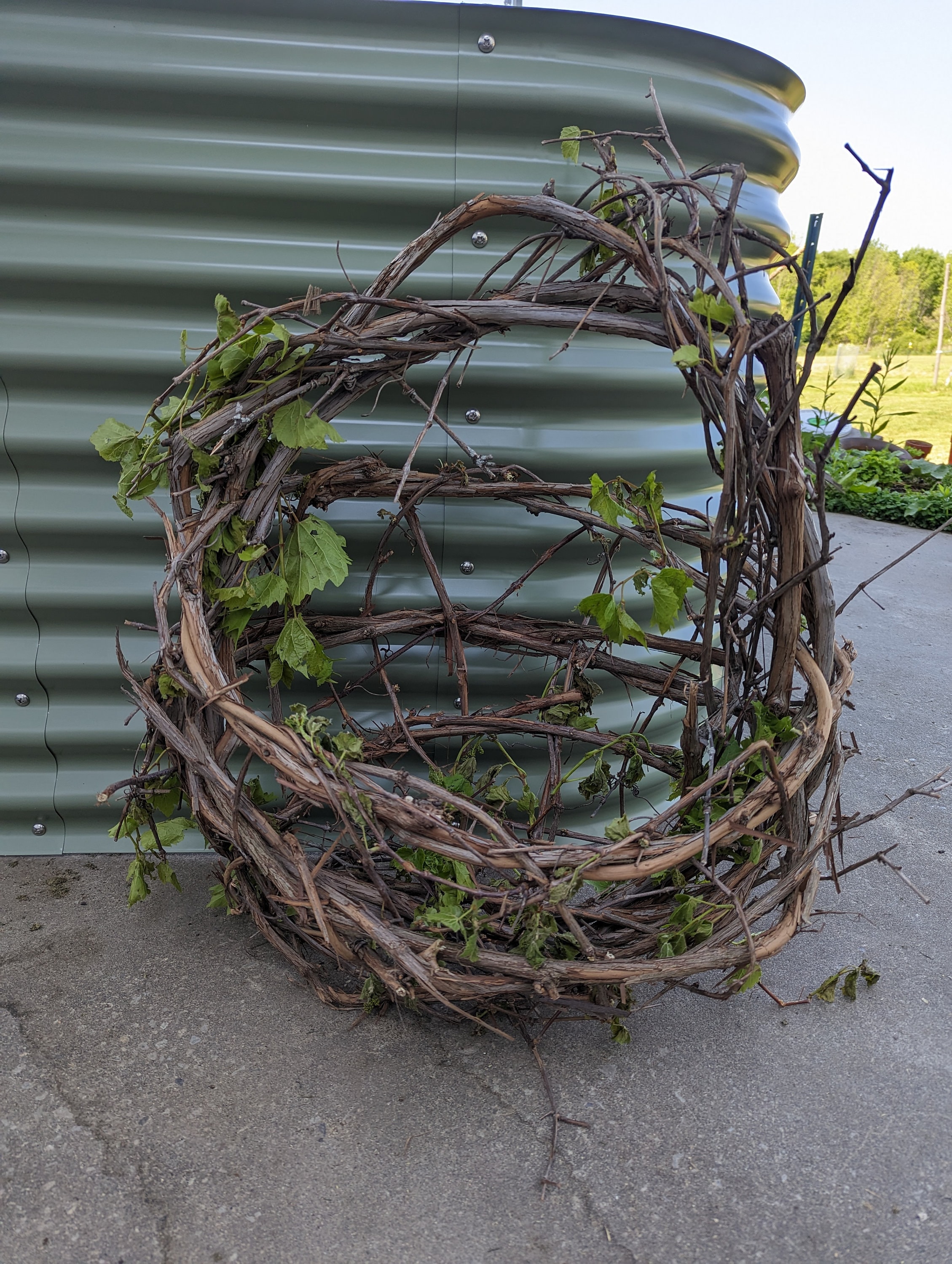 Woven Grapevine Basket - Etsy