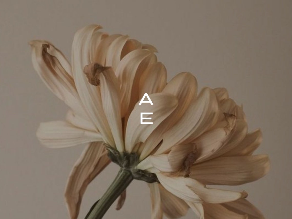 DIY Logo, Editable Minimalist Logo, Modern Logo, Salon Logo Design ...