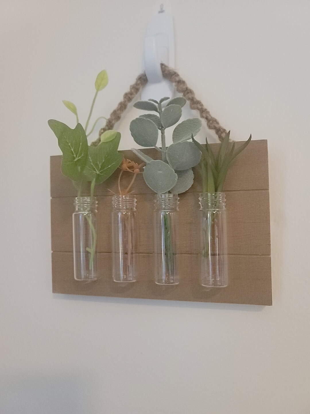 Botanic Bliss: the Greenery & Blooms Display a Captivating Holder That ...