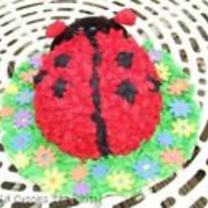 DIY Make Your Own Ladybird Easter Bonnet Craft Kit - Etsy