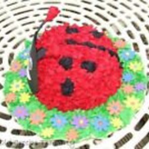 DIY Make Your Own Ladybird Easter Bonnet Craft Kit - Etsy