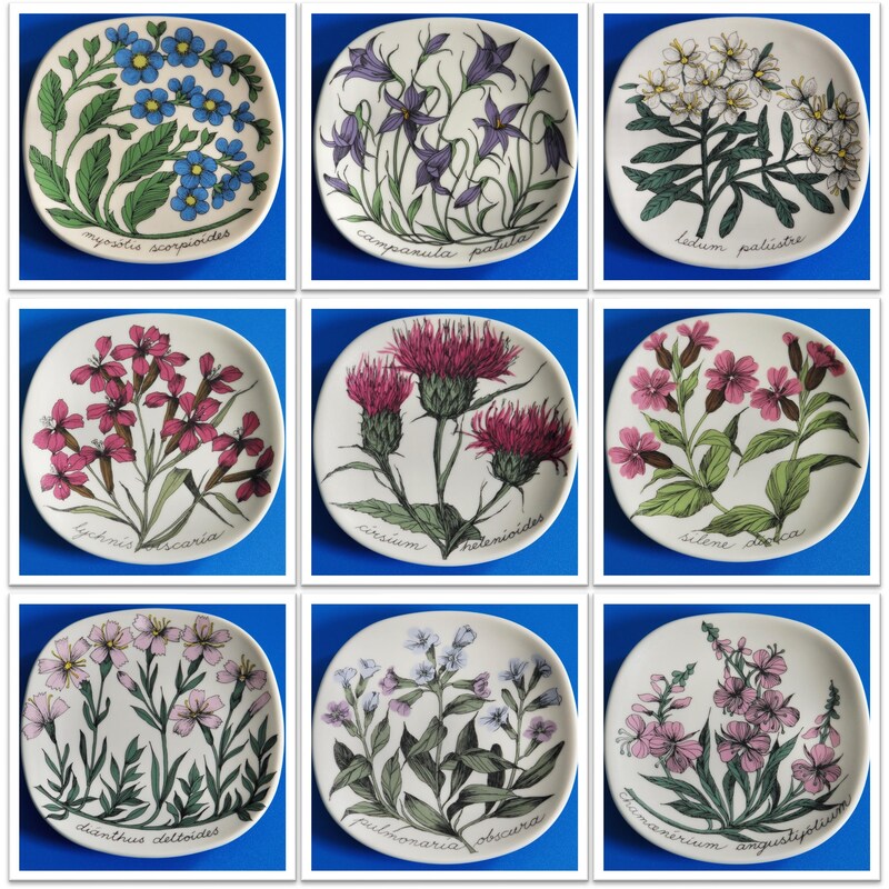 Botanical Plates - Etsy