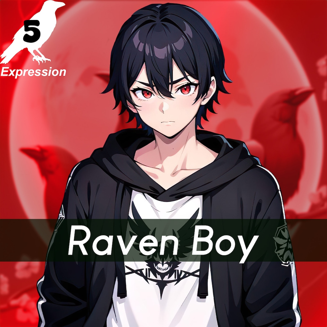 Pngtuber Raven Boy , 5 Expression , 2D Model , Male Pngtuber , Png ...