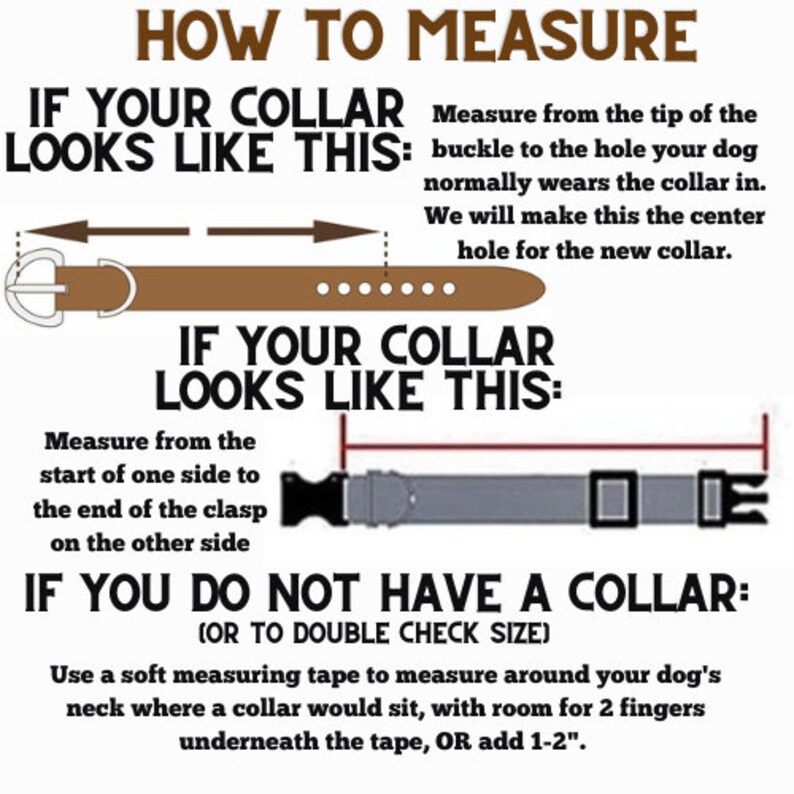 Custom Tooled Leather Dog Collar - Etsy