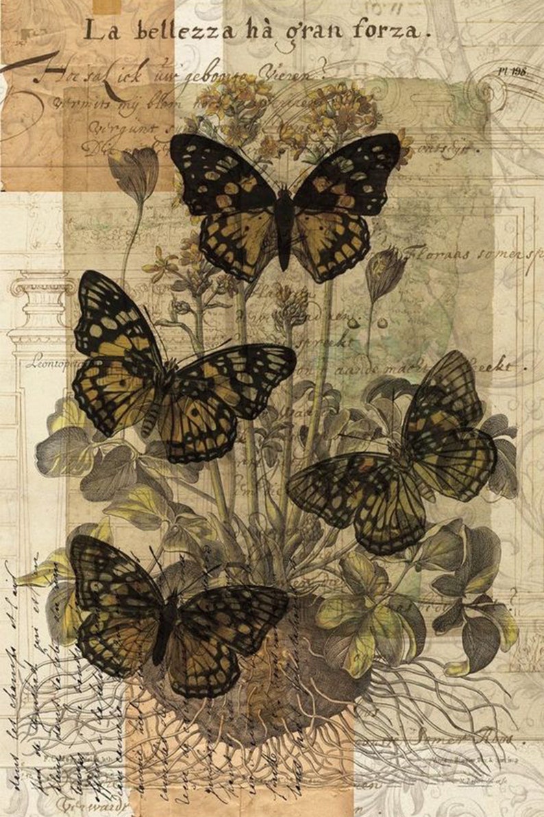 170 PCS | Vintage Botanic Aesthetic Art Collage Kit | Retro Zoo and ...