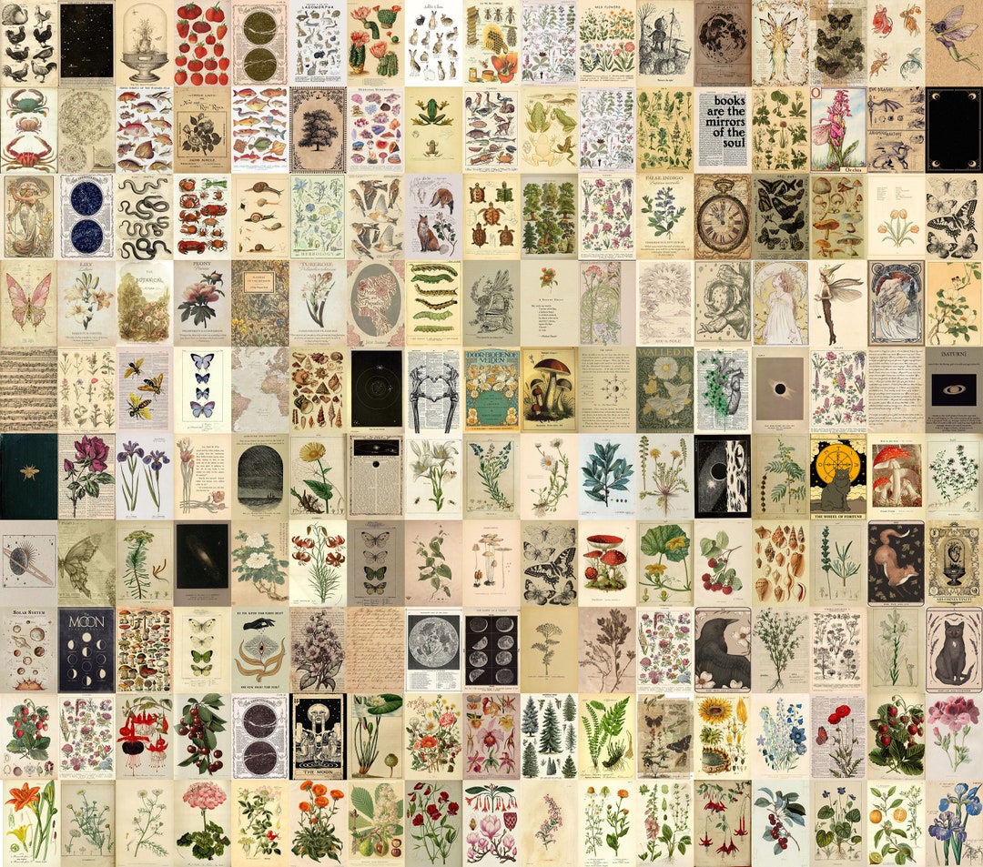 170 PCS | Vintage Botanic Aesthetic Art Collage Kit | Retro Zoo and ...
