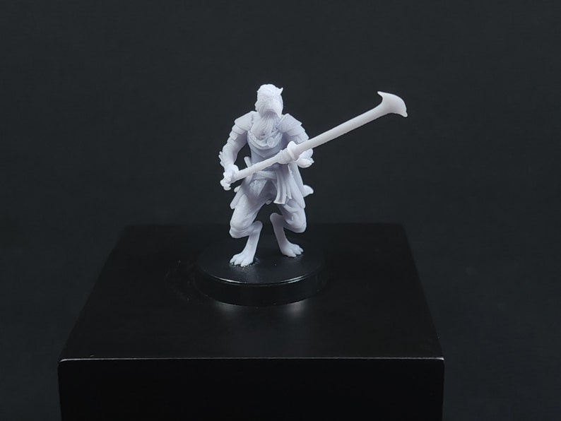 Kenku Fighter - Male/female - Dnd | Pathfinder | TTRPG - 32mm Scale ...