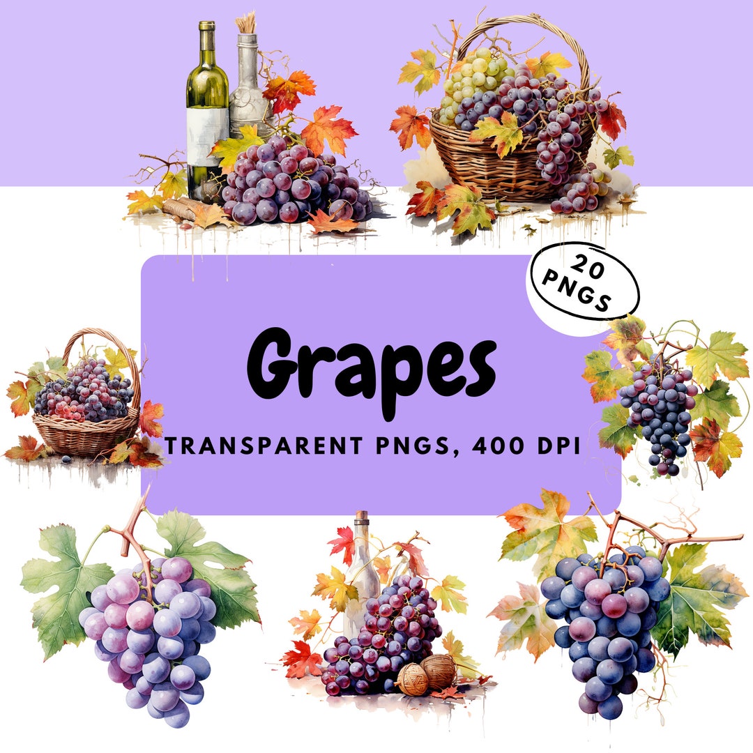 Grapes Clipart Watercolor Grapes Wine Clipart Grapes Transparent Background Grapes PNG ...