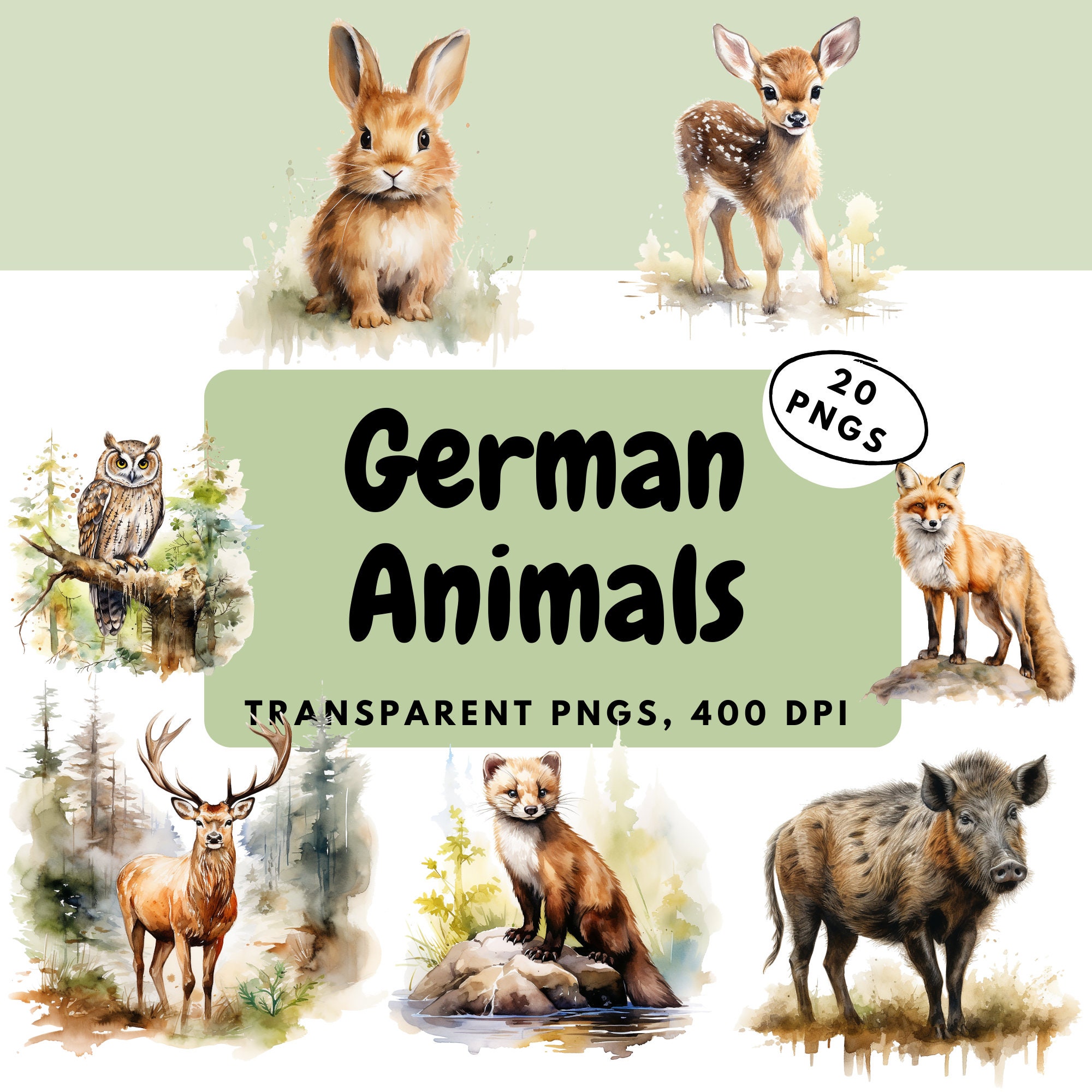 German Animals Clipart Watercolor Animals Animal Clipart Woodland ...