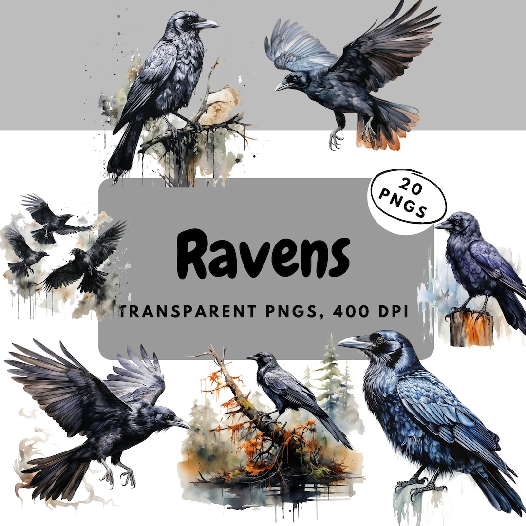 Ravens Clipart Watercolor Bird Animal Clipart Ravens Bird Clipart ...