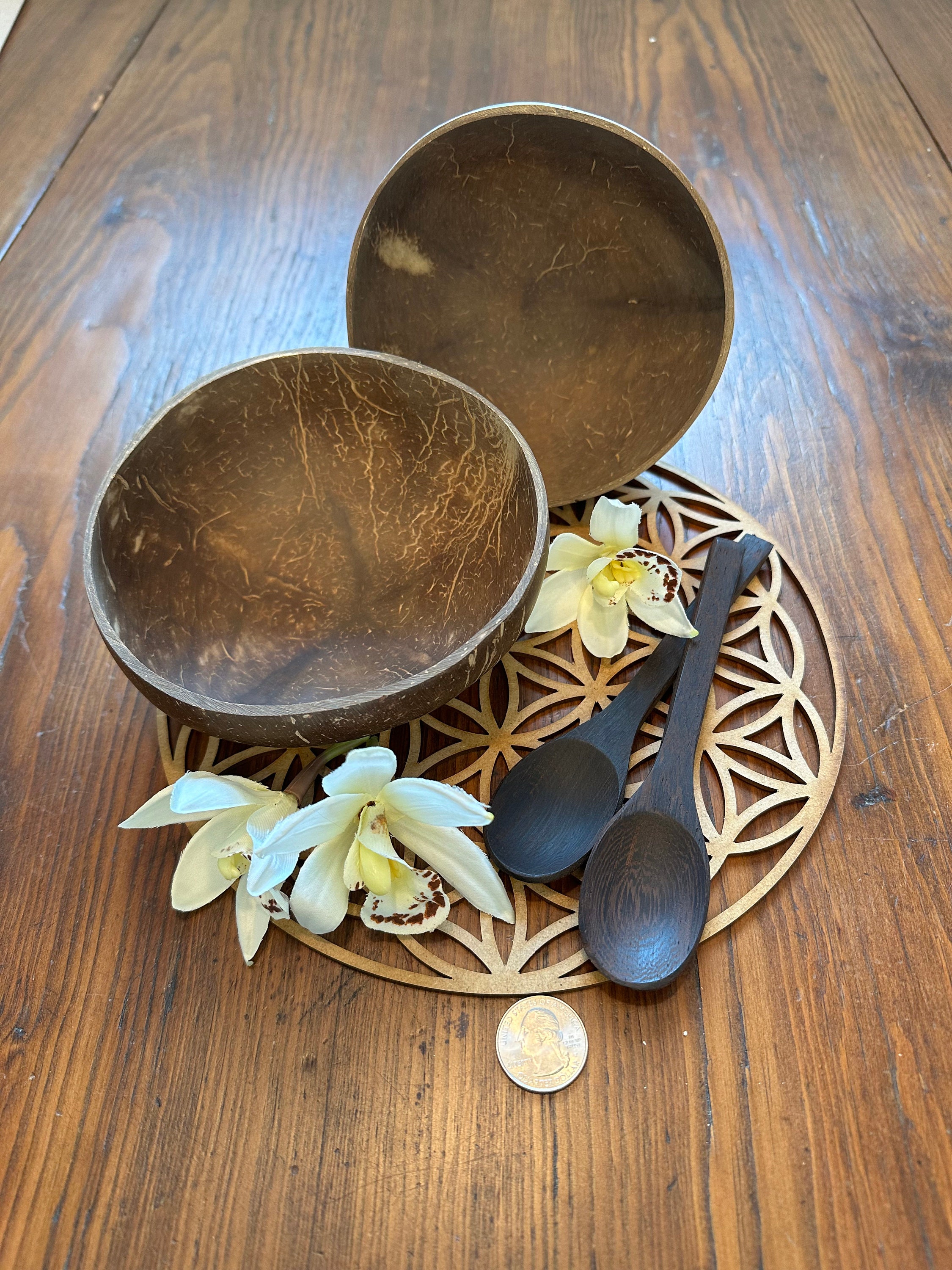 Coconut Half Shells Set - Etsy