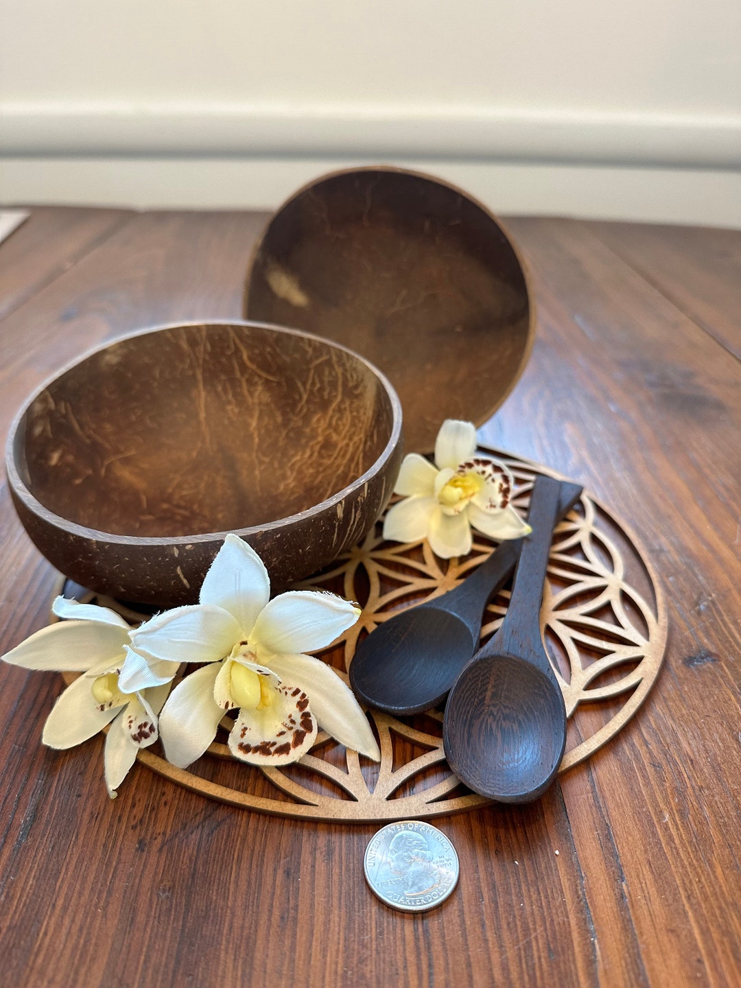 Coconut Half Shells Set - Etsy