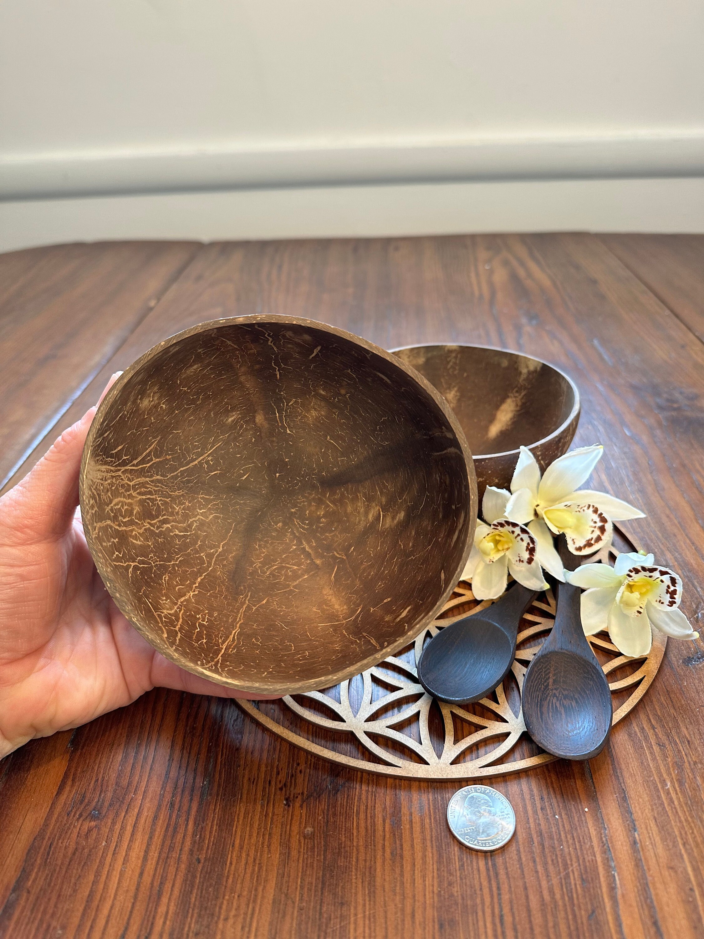 Coconut Half Shells Set - Etsy