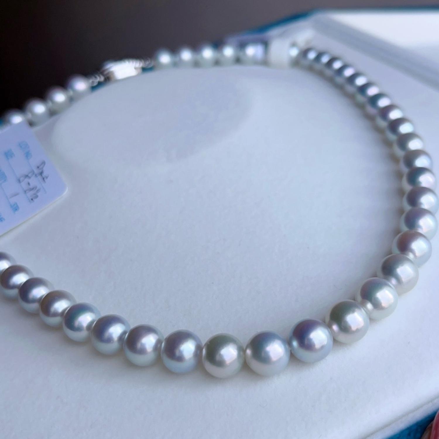 Silver Grey Madama Akoya Pearl Necklace, 8-8.5mm Round Rare Saltwater ...