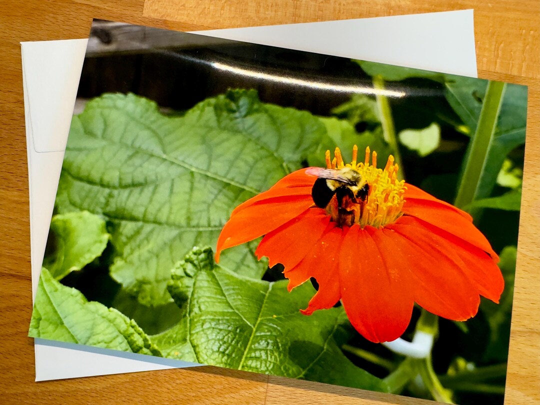 Just a Snack 5x7 Note Card - Etsy