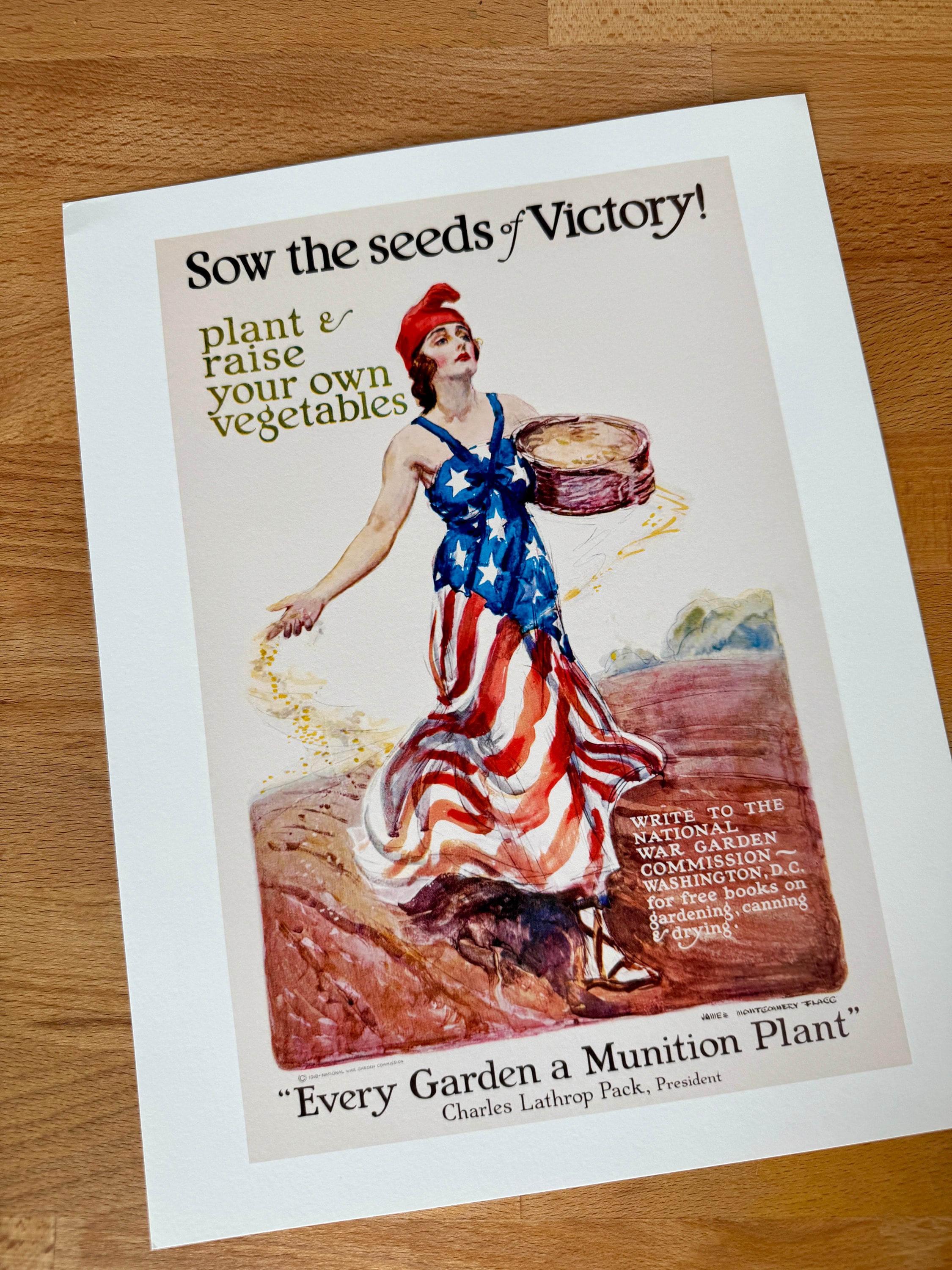 Vintage Sow the Seeds of Victory 8.5x11 Print - Etsy