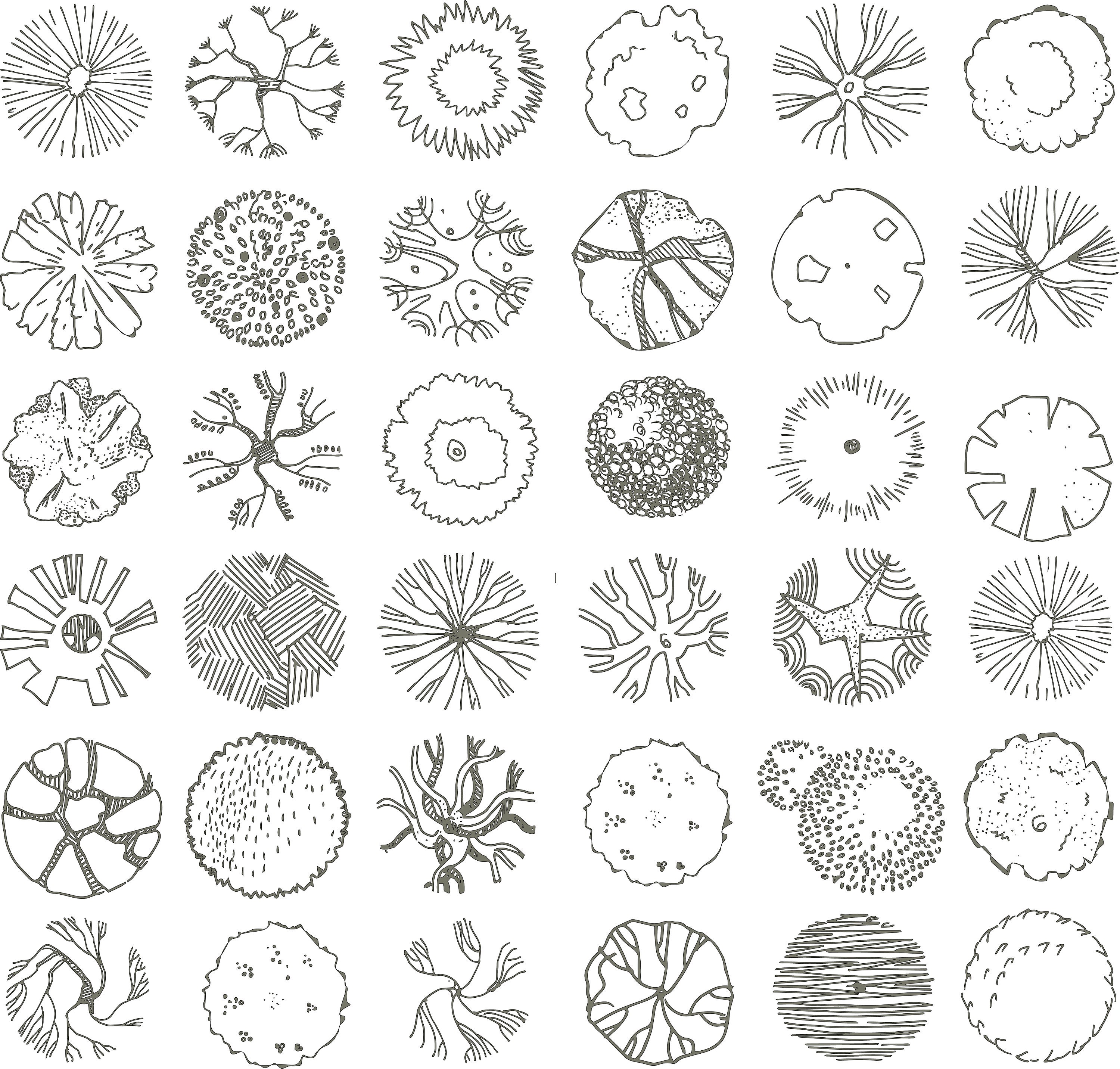 Landscape Tree Plan View, Tree Stamps, Landscape Symbols, Design ...