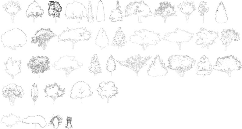 Landscape Tree and Shrub Elevation, Tree Elevation, Tree Sections ...