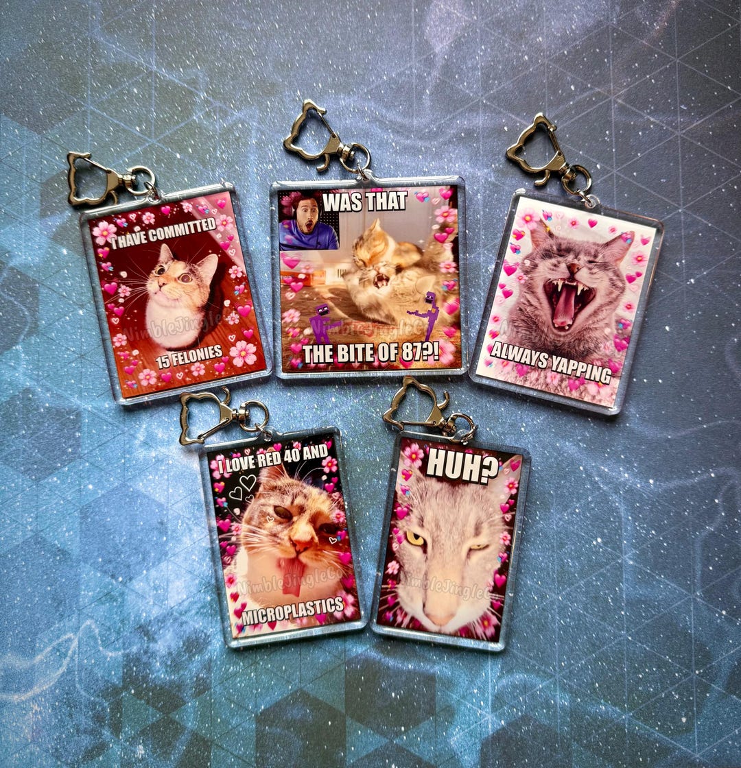 Cat Meme Keychains Part 4! MIXED QUALITY, Read Description! - Etsy