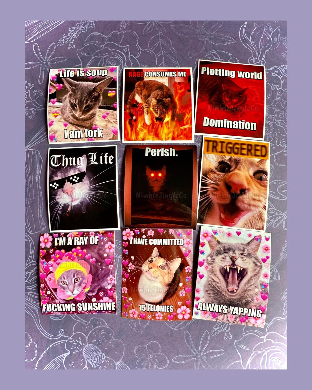 Cat Meme Stickers - Glossy Vinyl Decals, Series 1 - Etsy