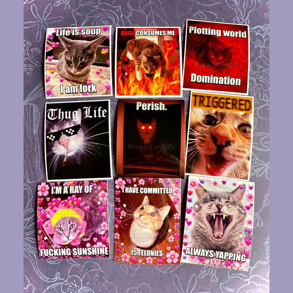 Cat Meme Stickers - Etsy