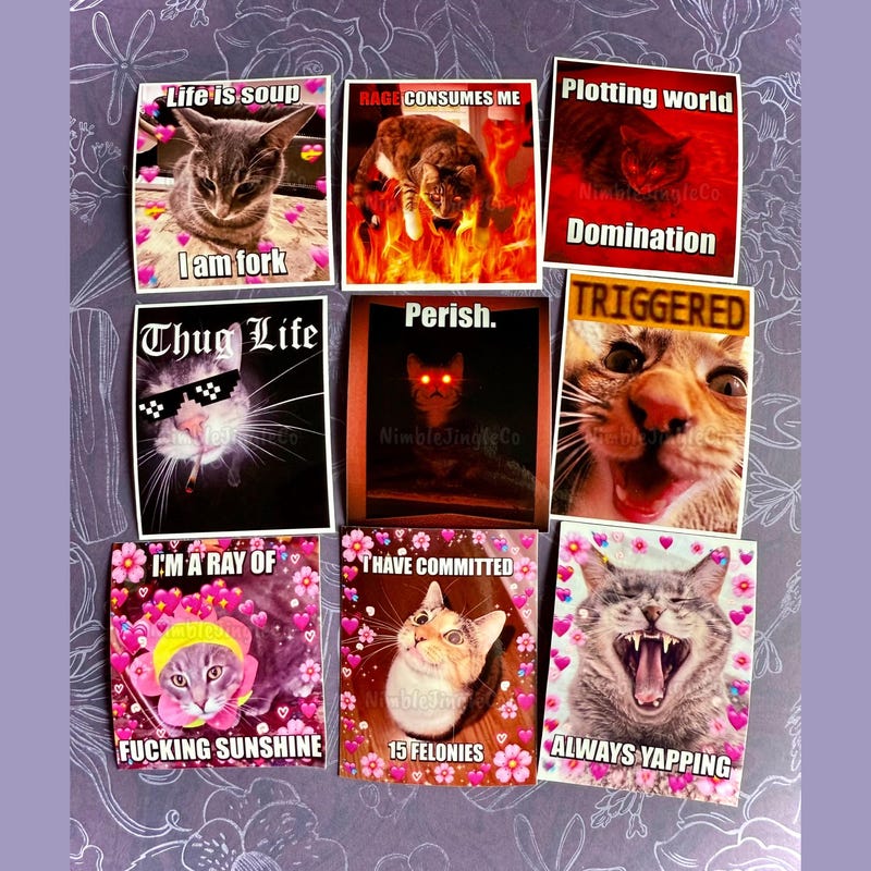 Personalized Meme Stickers - Etsy