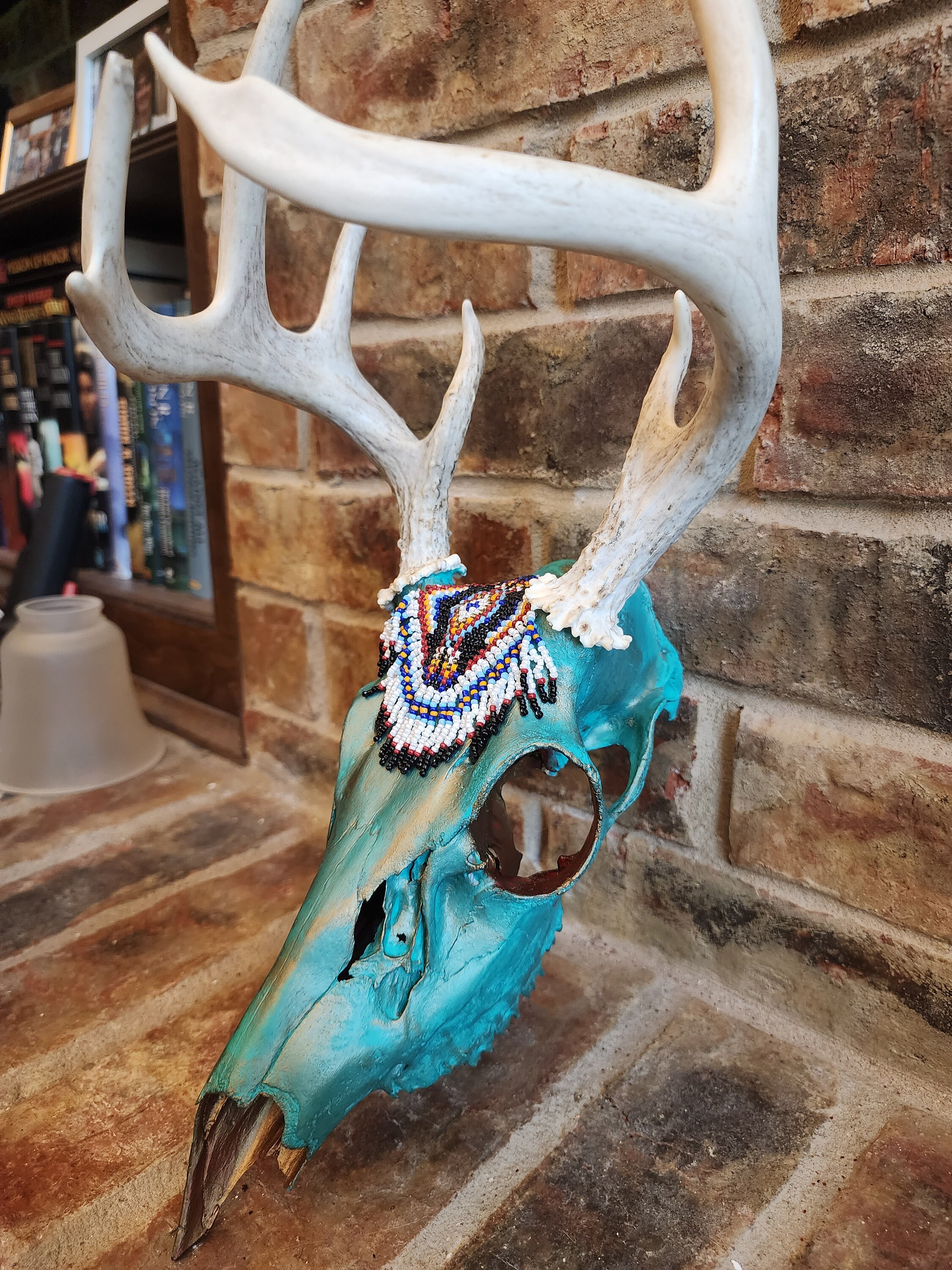 Hand Painted European Mount Roe Deer - Etsy