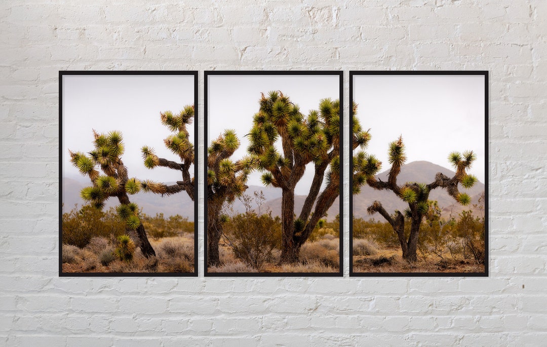 Joshua Trees Nevada Desert Photo, Triptych Set of 3 (digital Download ...