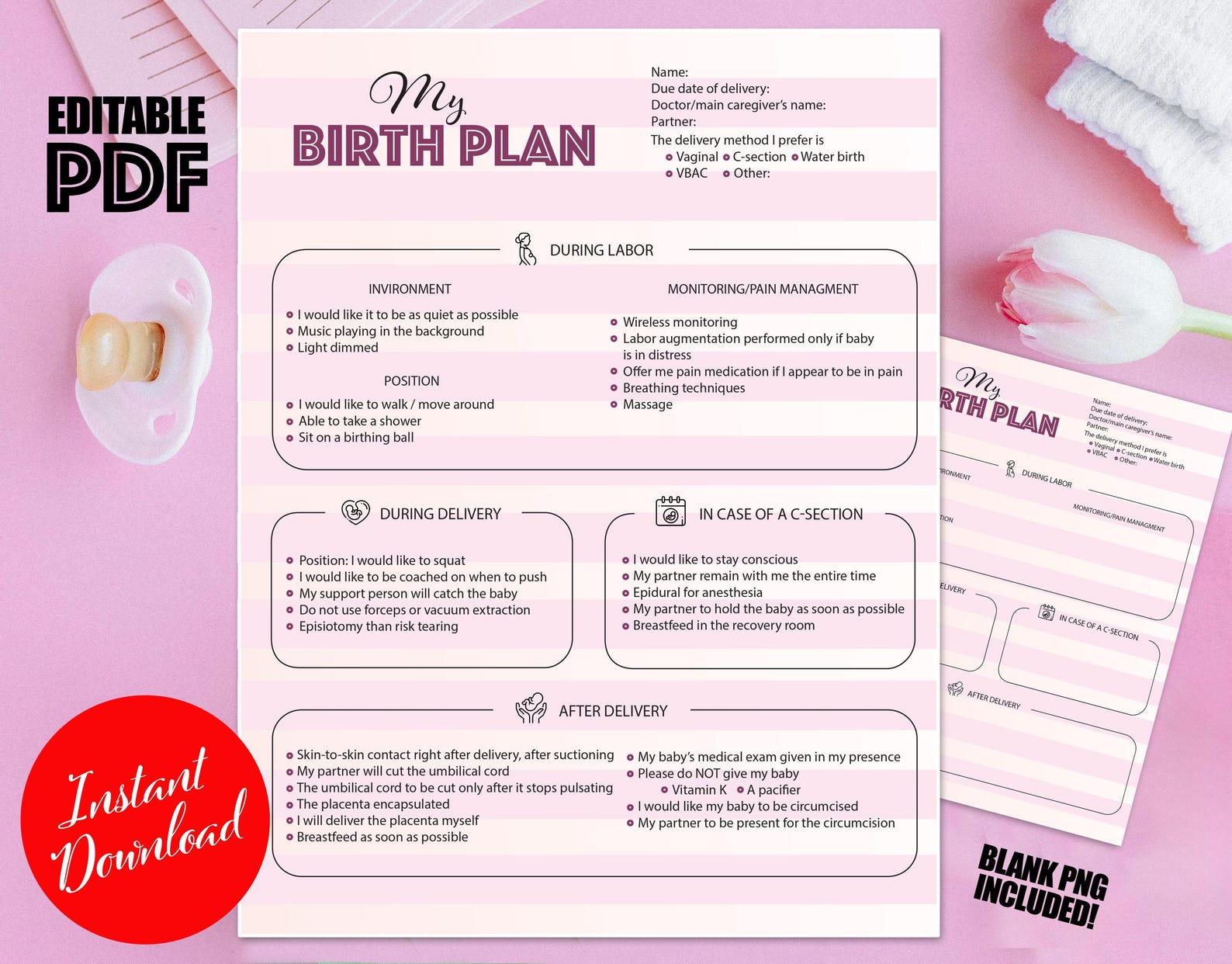 Editable Birth Plan Template | Pink | Printable Checklist PDF | Girl ...