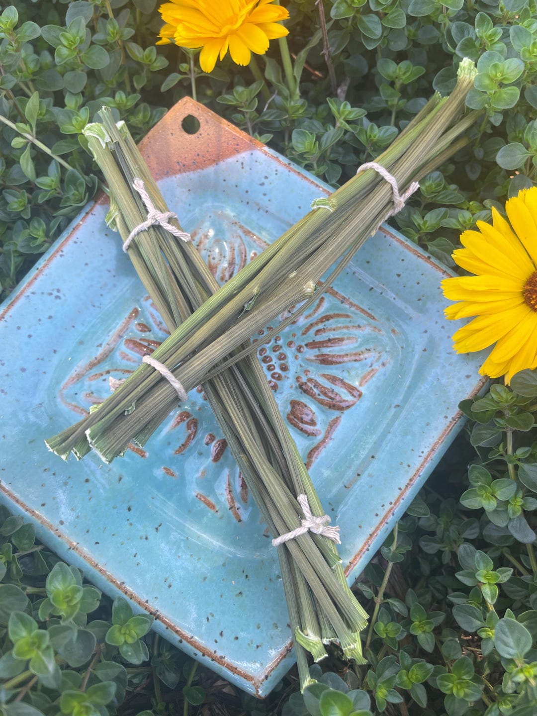 Organic Parsley Chew Sticks – Small Tied Bundle | Natural Bunny Chew ...