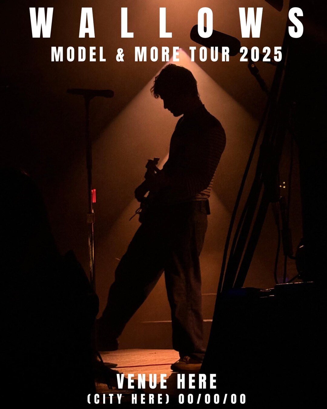 02/19/25-02/24/25 Shows -> Wallows MODEL & MORE Tour Poster - Etsy