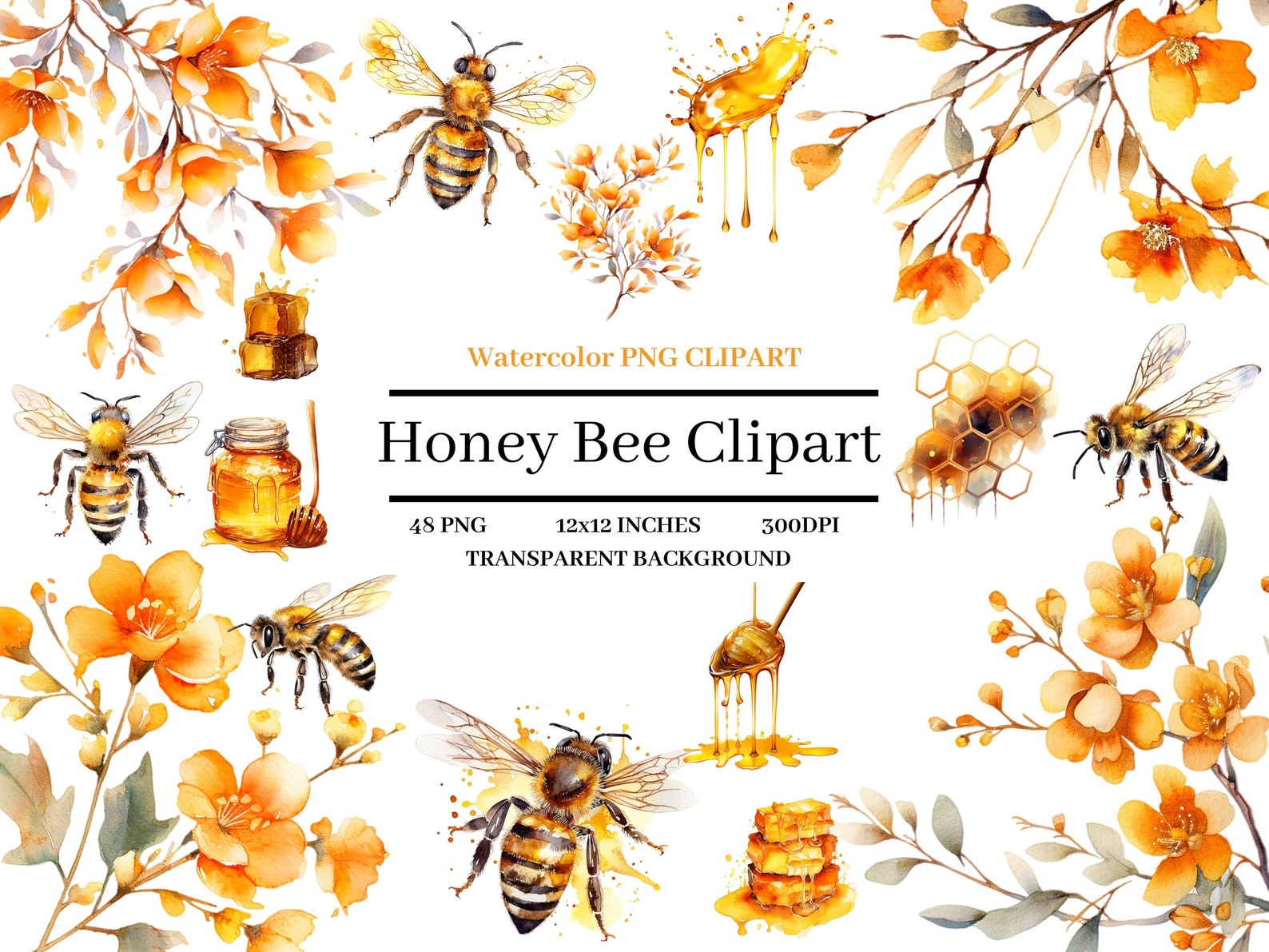 Watercolor Honey Bee Clipart Bundle,48 PNG Images of Floral Spring ...