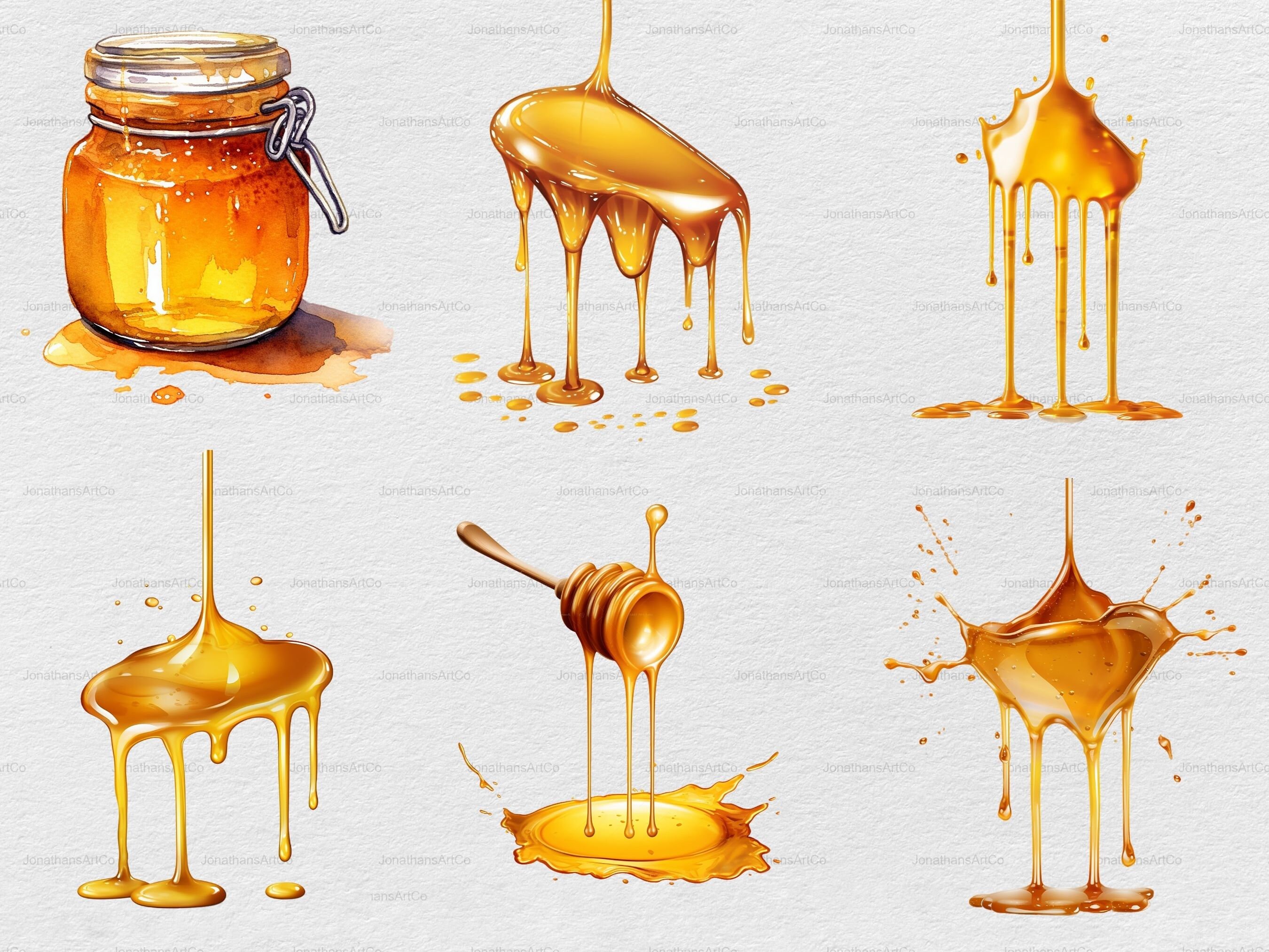 Watercolor Honey Bee Clipart Bundle48 PNG Images of Floral - Etsy