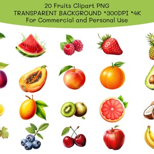 Realistic Fruits Clipart PNG Bundle Fruit Illustrations Strawberry ...