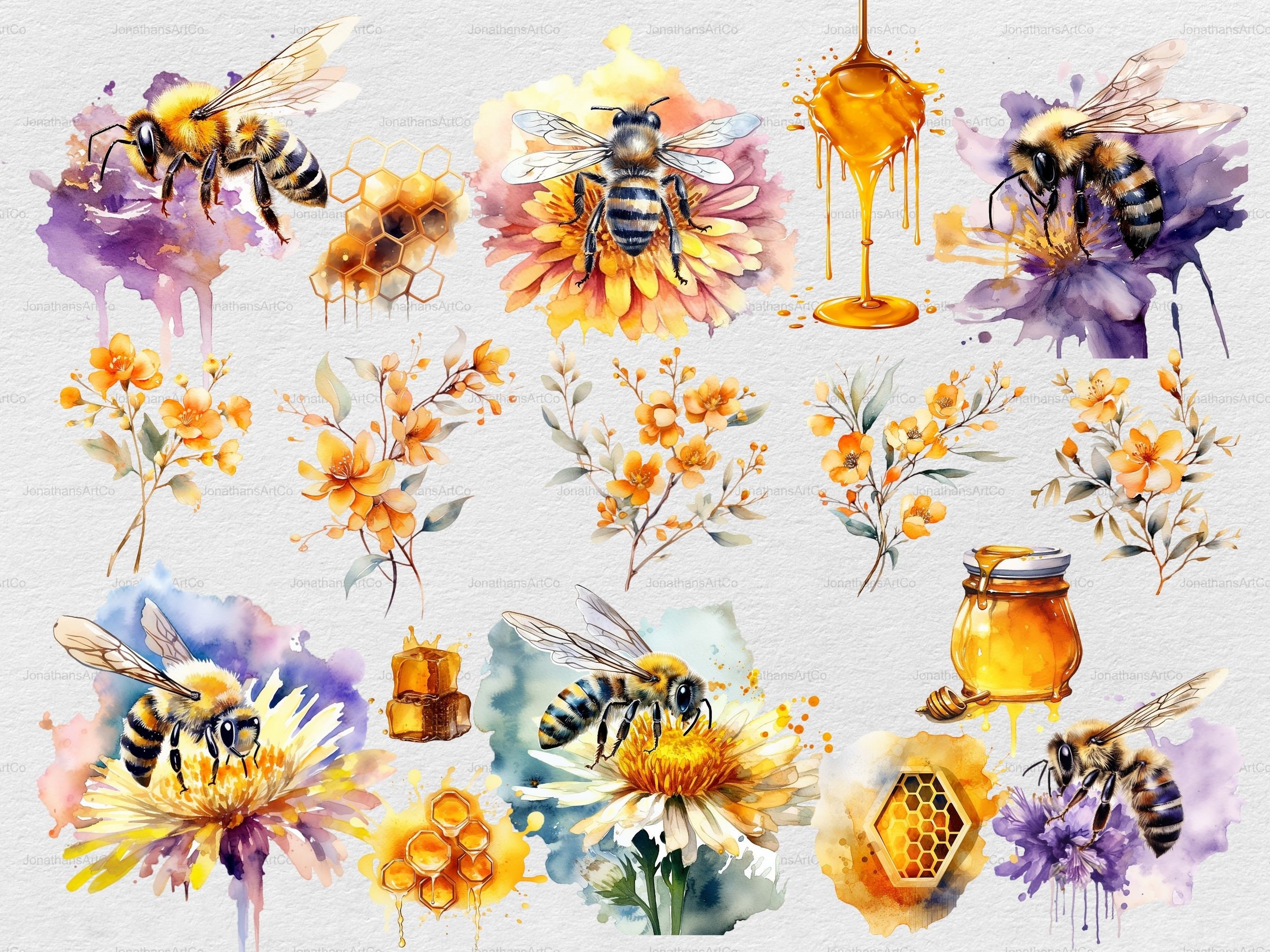 Watercolor Honey Bee Clipart Bundle48 PNG Images of Floral - Etsy