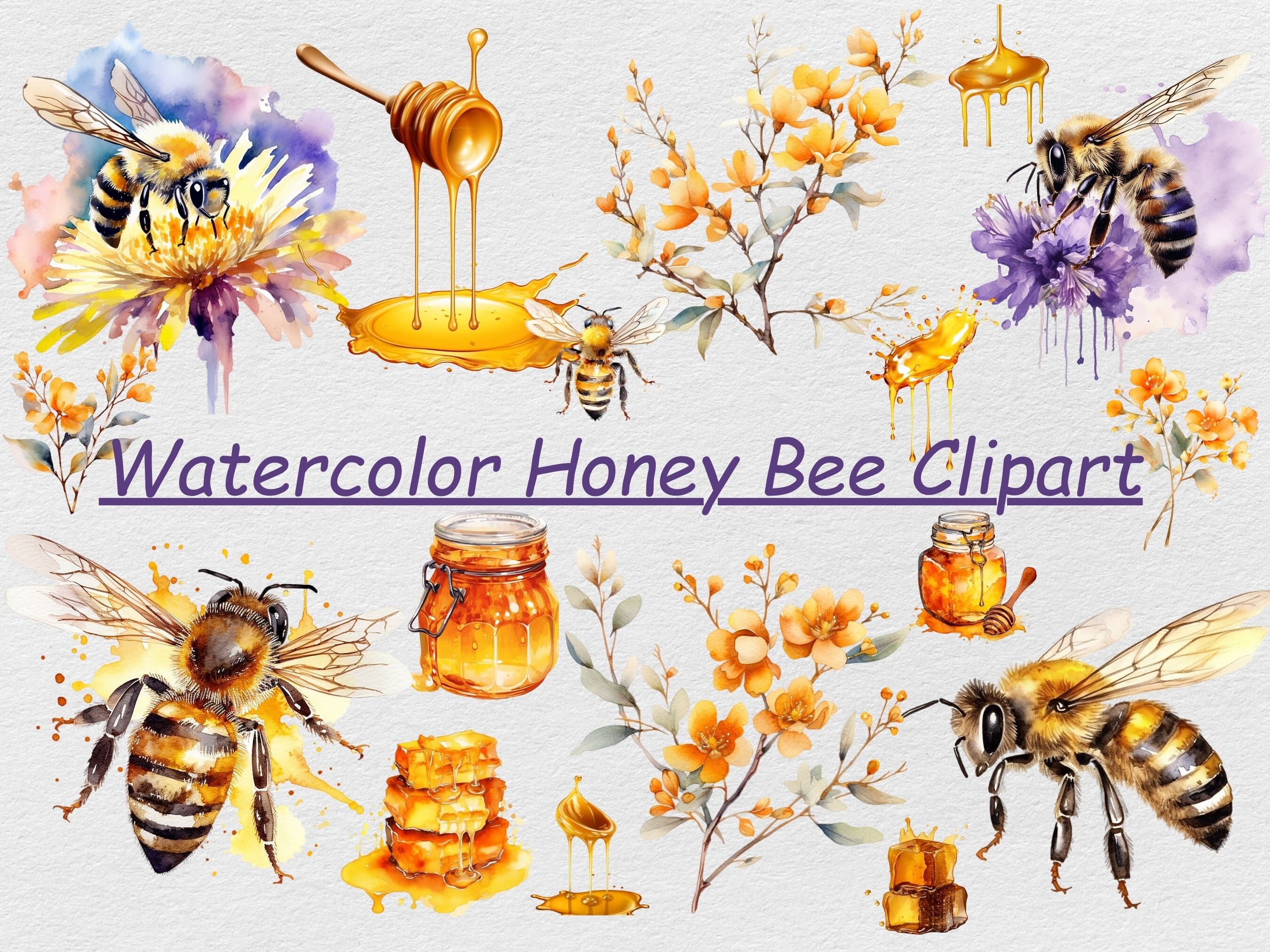 Watercolor Honey Bee Clipart Bundle48 PNG Images of Floral - Etsy