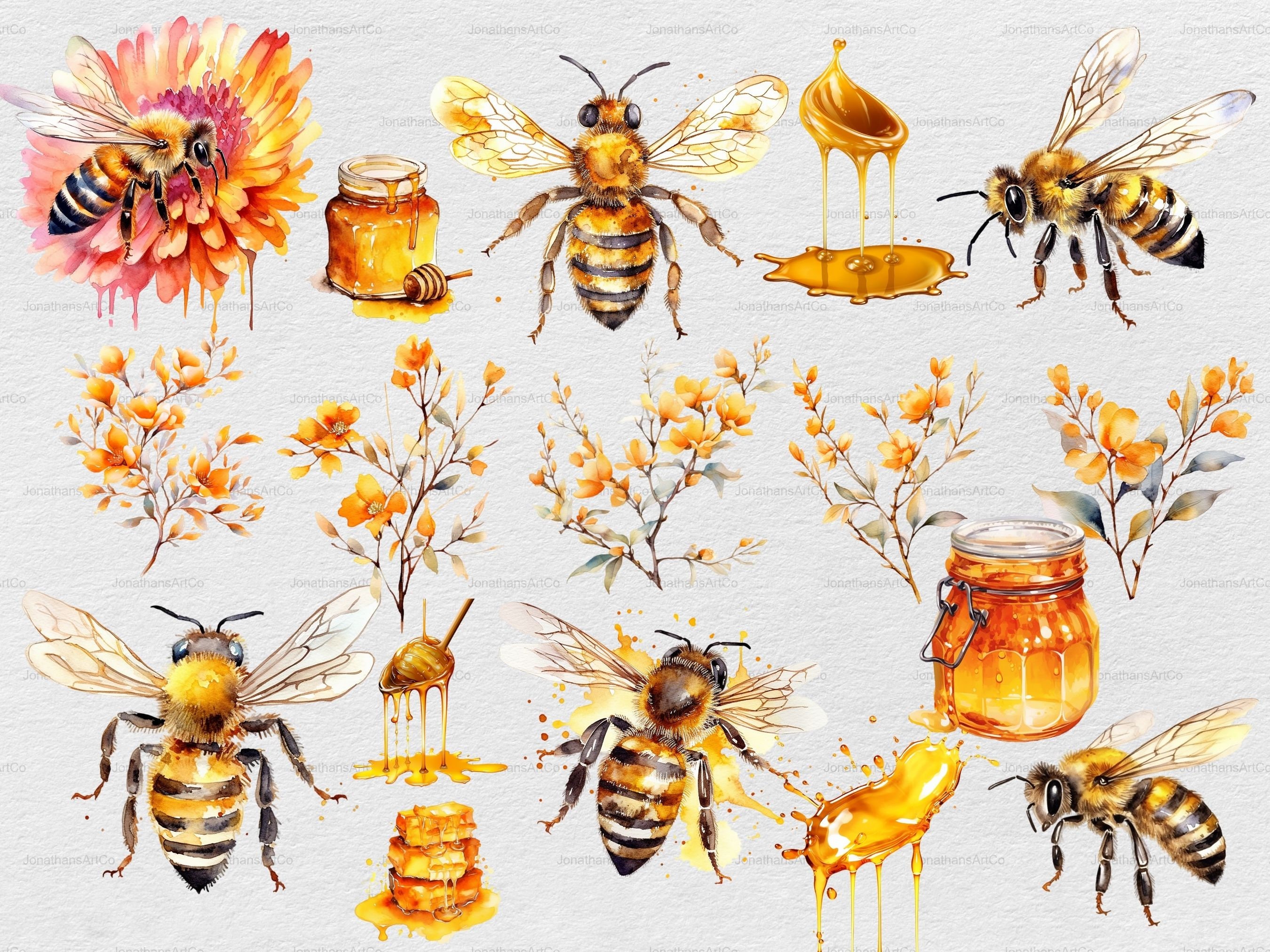 Watercolor Honey Bee Clipart Bundle48 PNG Images of Floral - Etsy