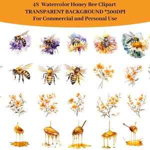 Watercolor Honey Bee Clipart Bundle,48 PNG Images of Floral Spring ...