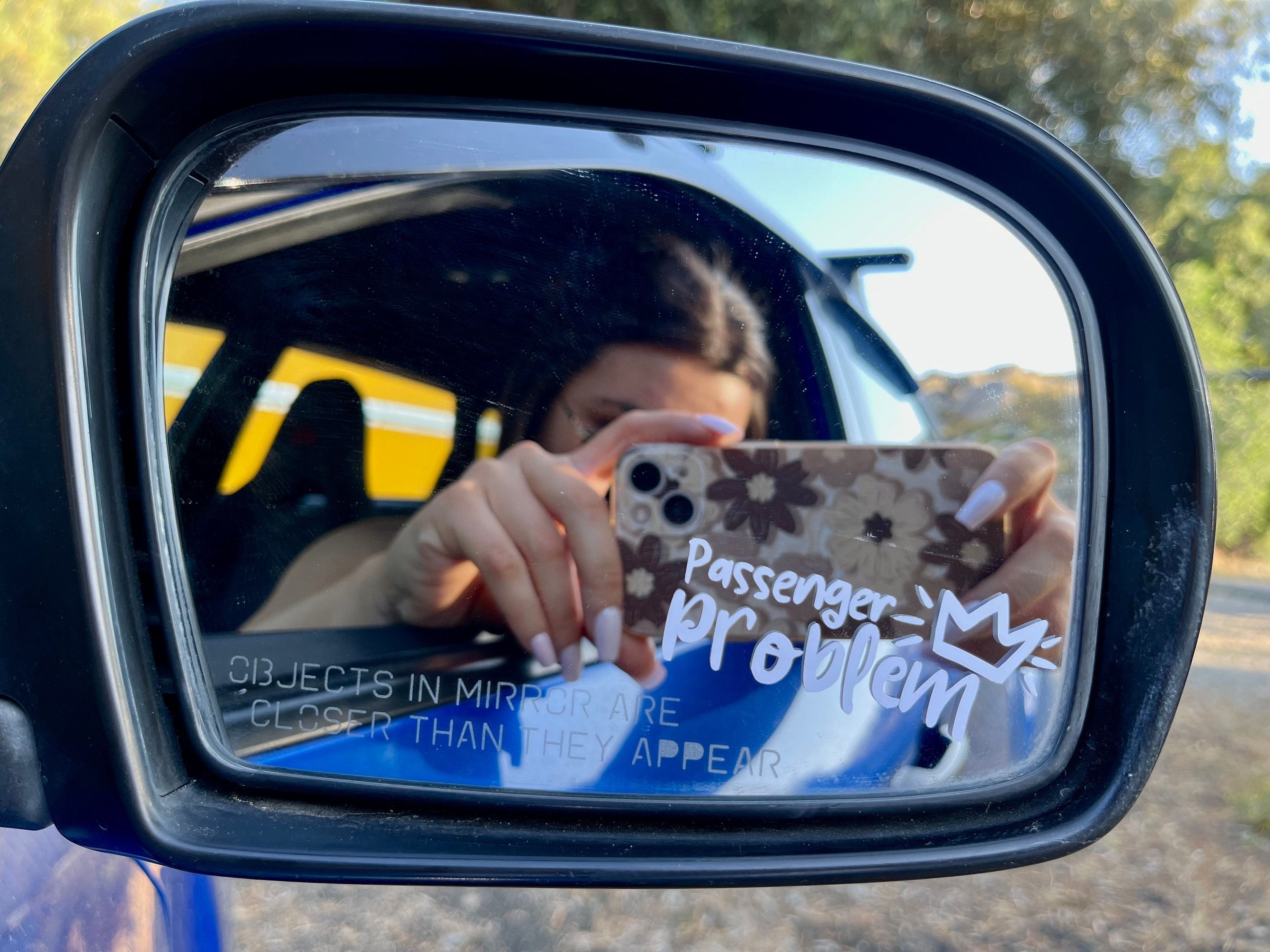 Passenger Problem Princess 3 Car Vinyl Mirror Sticker Decal - Etsy