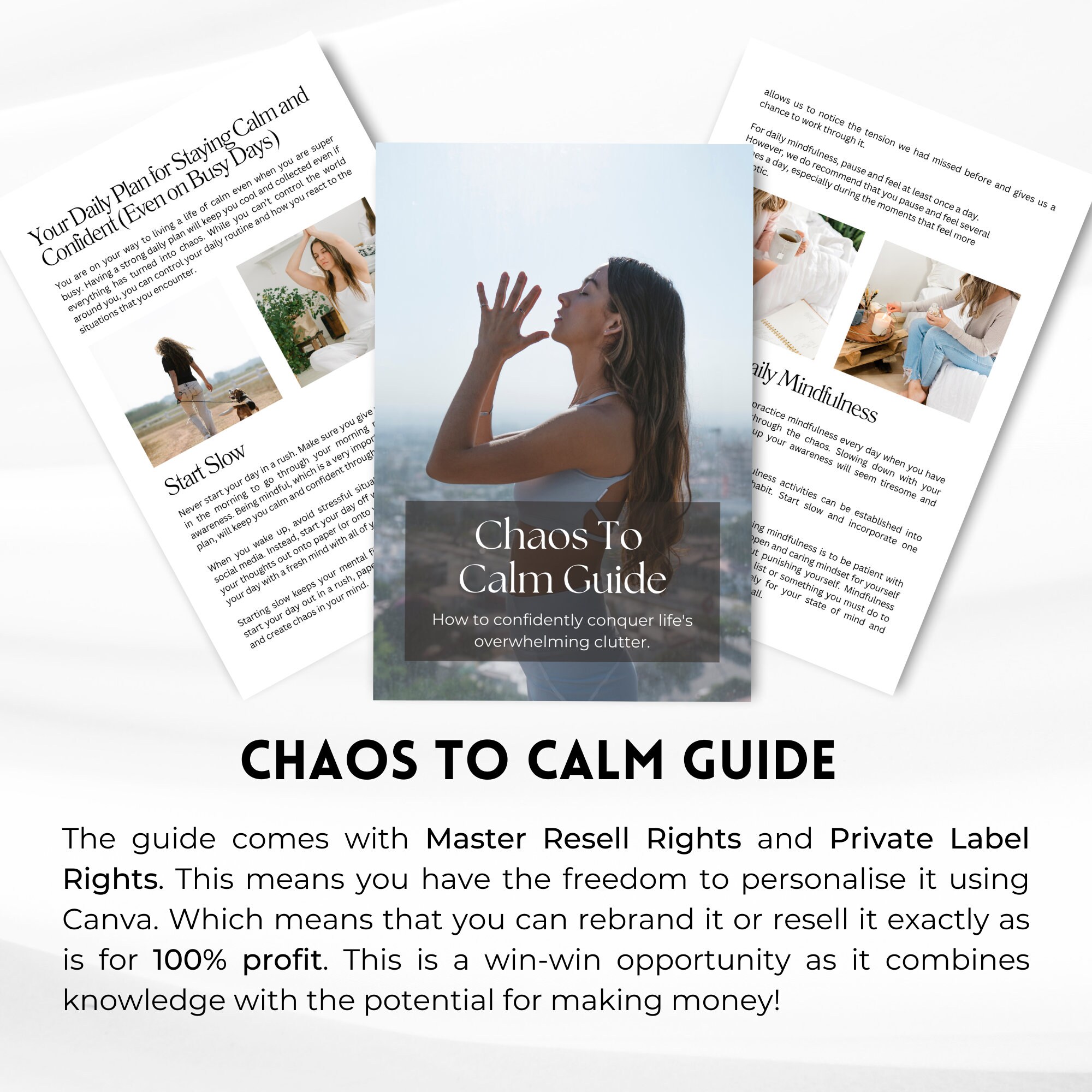 Chaos to Calm Guide Master Resell Rights Coaching Life and Business PLR ...