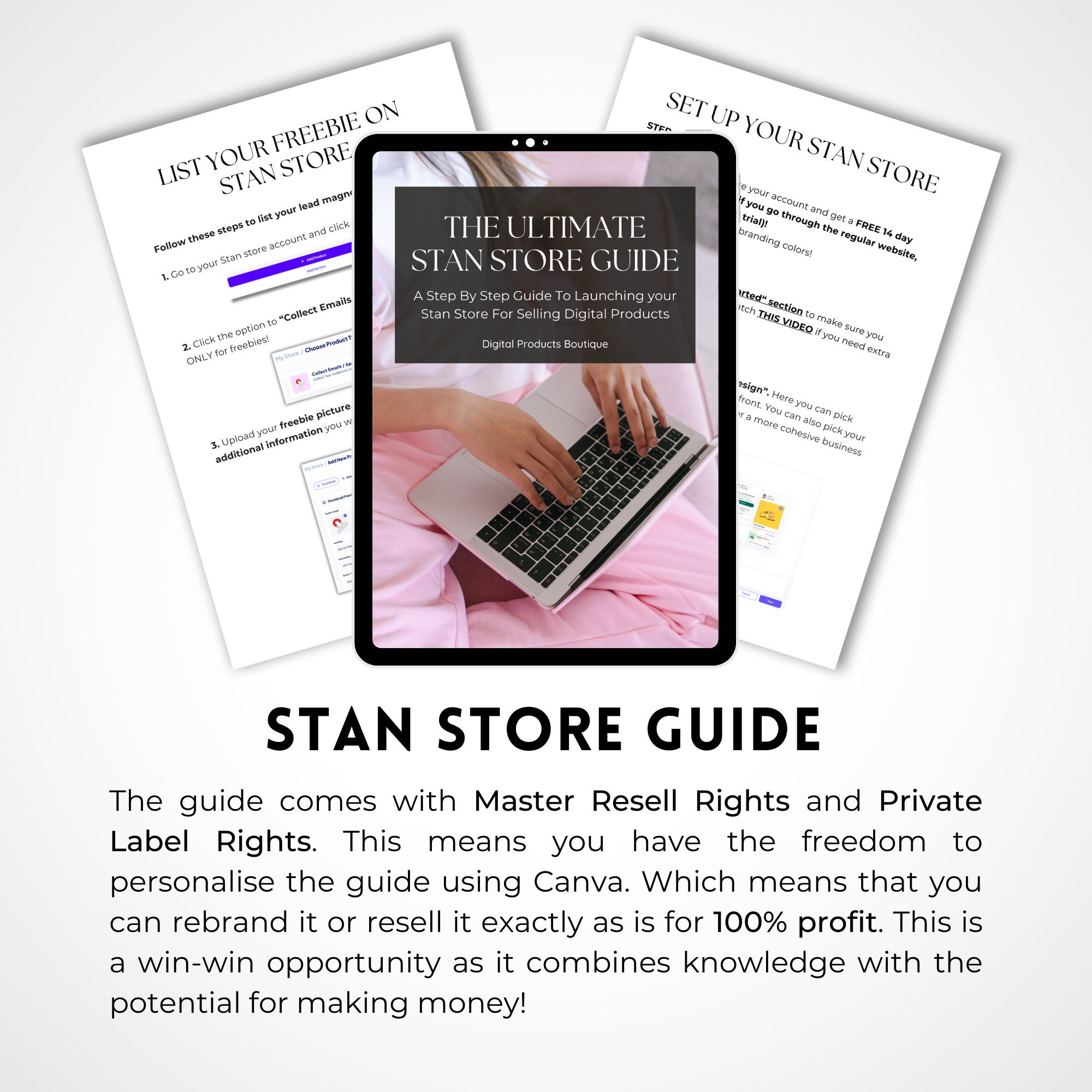 The Ultimate Stan Store Guide With Master Resell Right MRR and Private ...