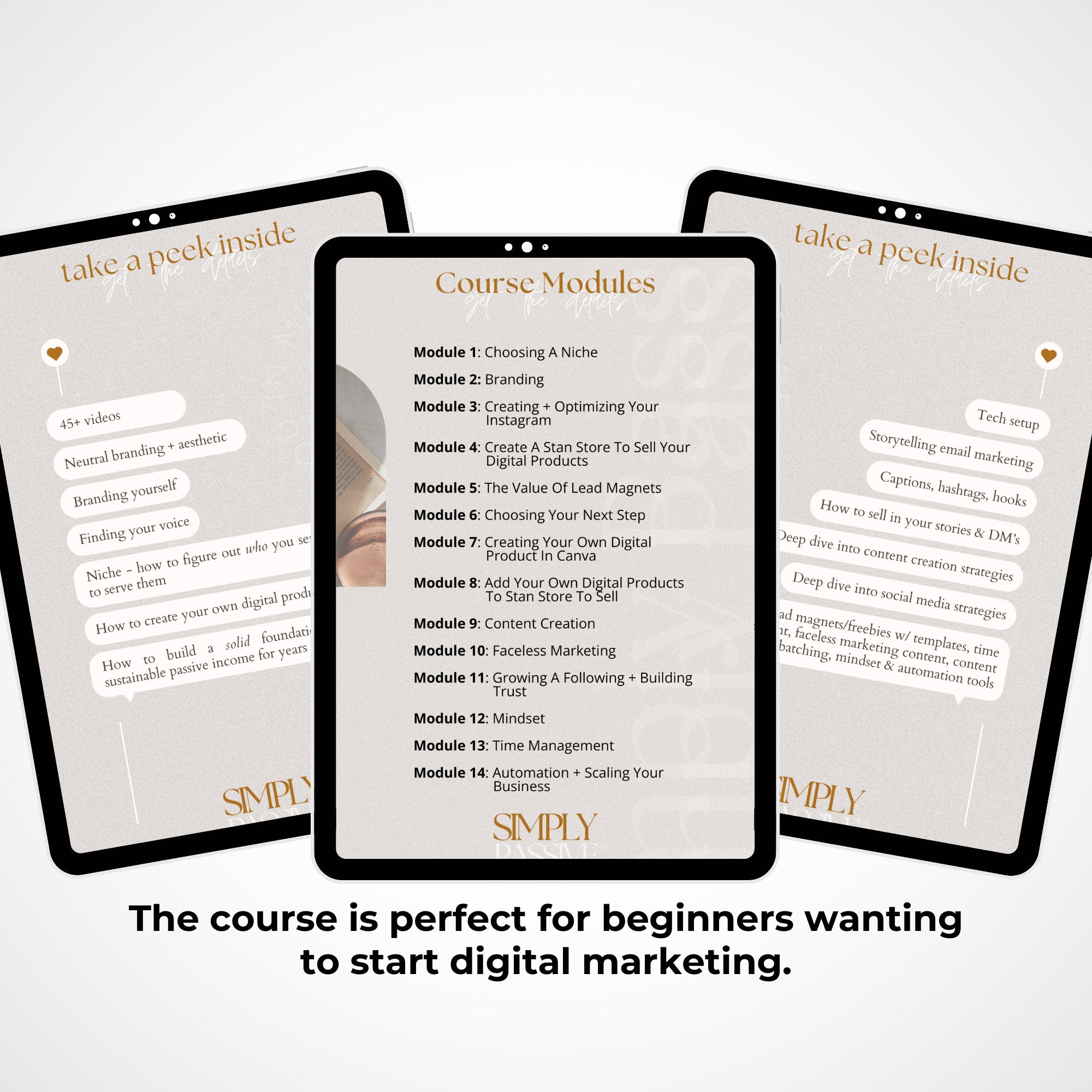 Simply Passive MRR & PLR Digital Marketing Course Faceless Marketing ...