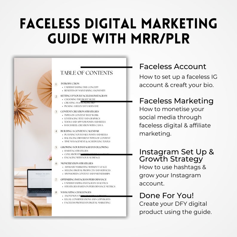 Faceless Digital Marketing Guide: Instagram Success With MRR & PLR (DFY ...