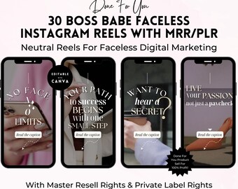 400 Faceless Digital Marketing Instagram Reels Videos With Master ...