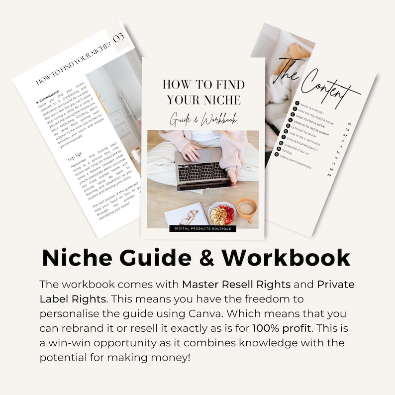 Find Your Niche Guide: MRR PLR Workbook (digital Download) - Etsy