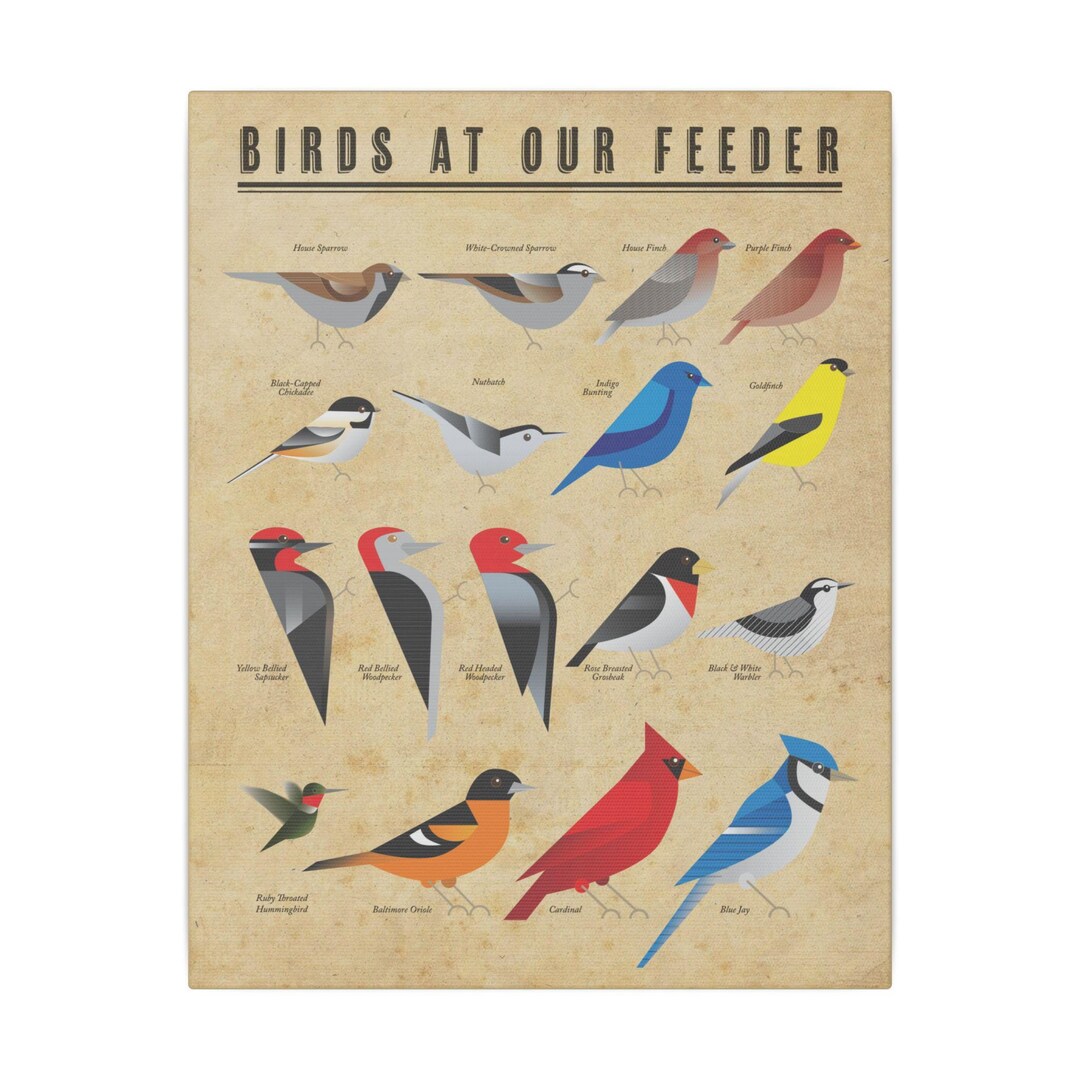 Backyard Bird Art / Bird Print / Birdwatching Wall Art / Nature Print ...