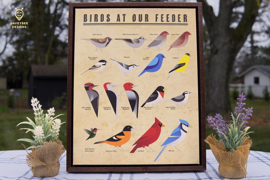 Backyard Bird Art / Bird Print / Birdwatching Wall Art / Nature Print ...