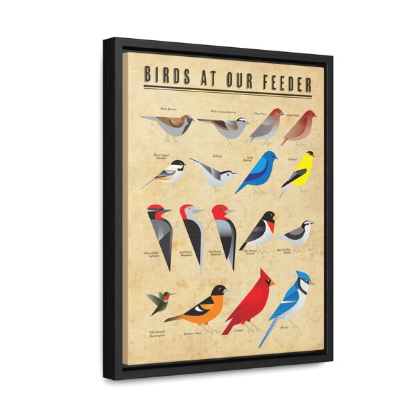 Backyard Bird Poster - Etsy